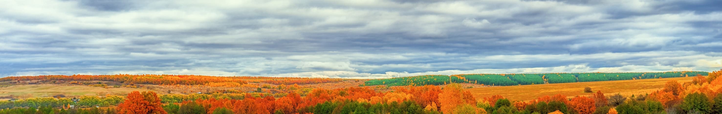 Verkazia® (cyclosporine ophthalmic solution) 0.1% | For patients ...